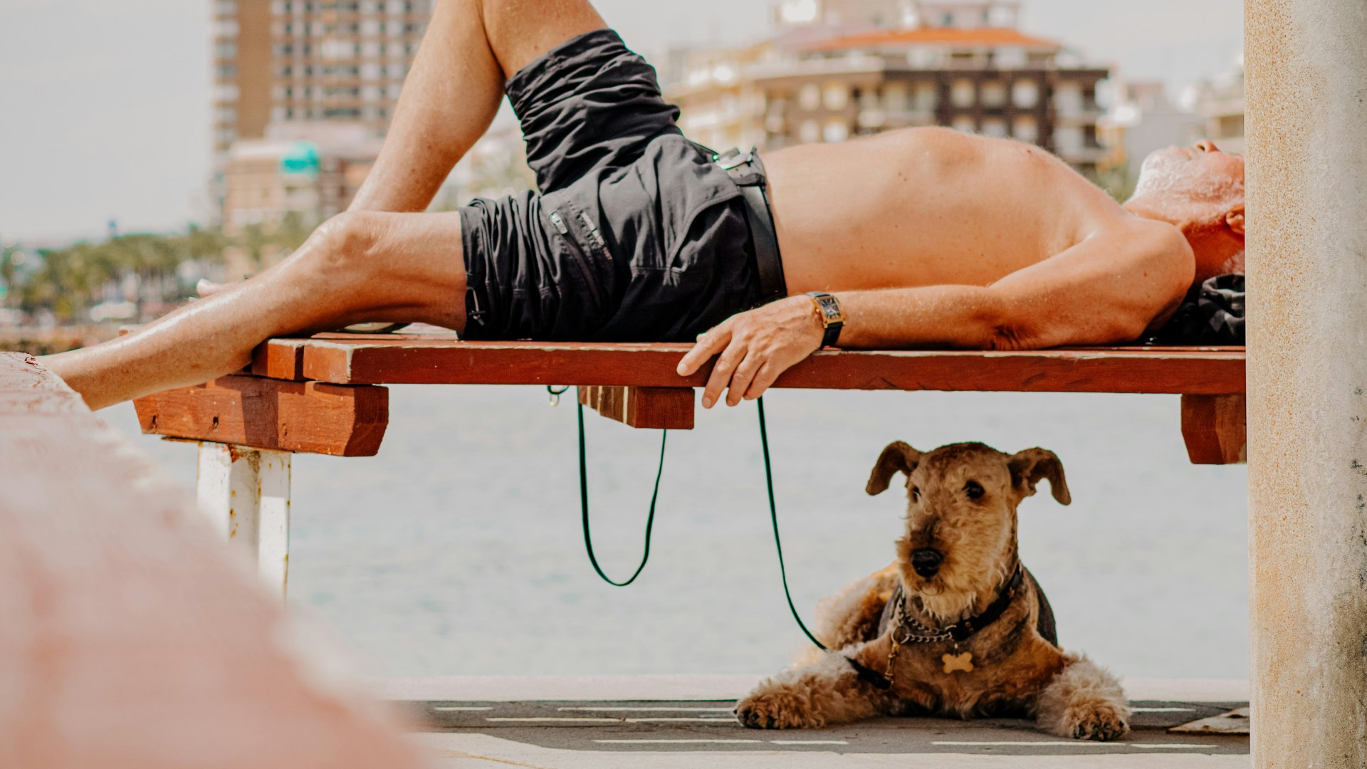 İnsan-hayvan ilişkilerinin yeniden tanımlanması: Kültürel ve etik bir ...